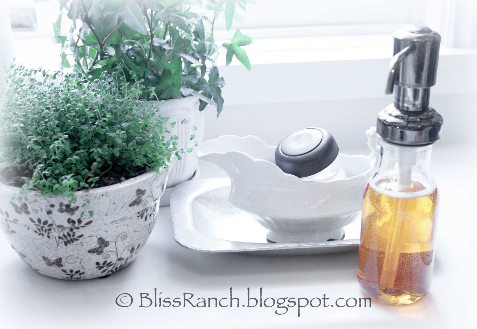 Bliss Ranch: Latte Bottle turned Soap Dispenser