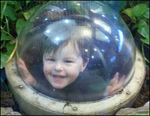 Proper Course: The Boy in the Bubble