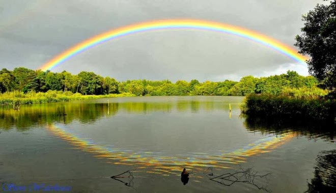 25 Most Amazing Rainbow Photographs - Fine Art and You