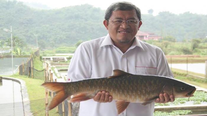 Kabar Gembira untuk Para Pemancing, Wisata mancing Waduk Jatigede ...