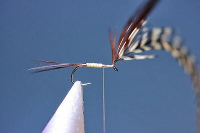 Niklas Dahlin -Flytier: Grey Fox Variant