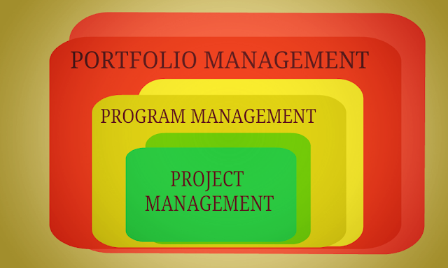 What is Program and Project Portfolio Management