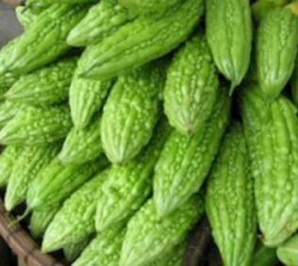 ampalaya plant - philippin news collections