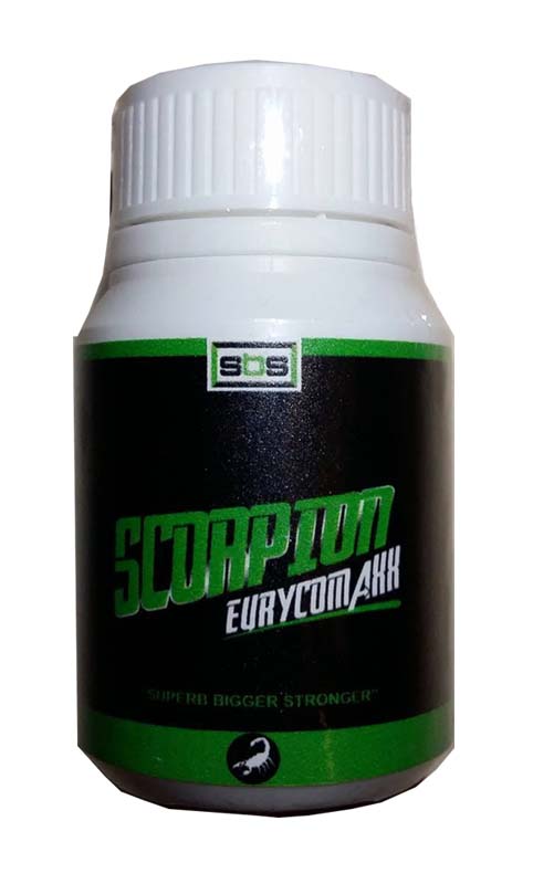 Dapatkan info-info produk power di sini: SBS Scorpion Eurycomaxx