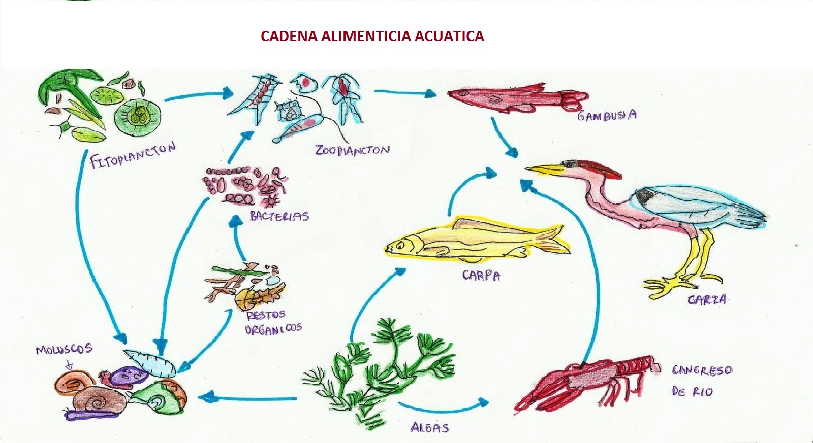 CATEDRA DE BIOLOGIA: 2013