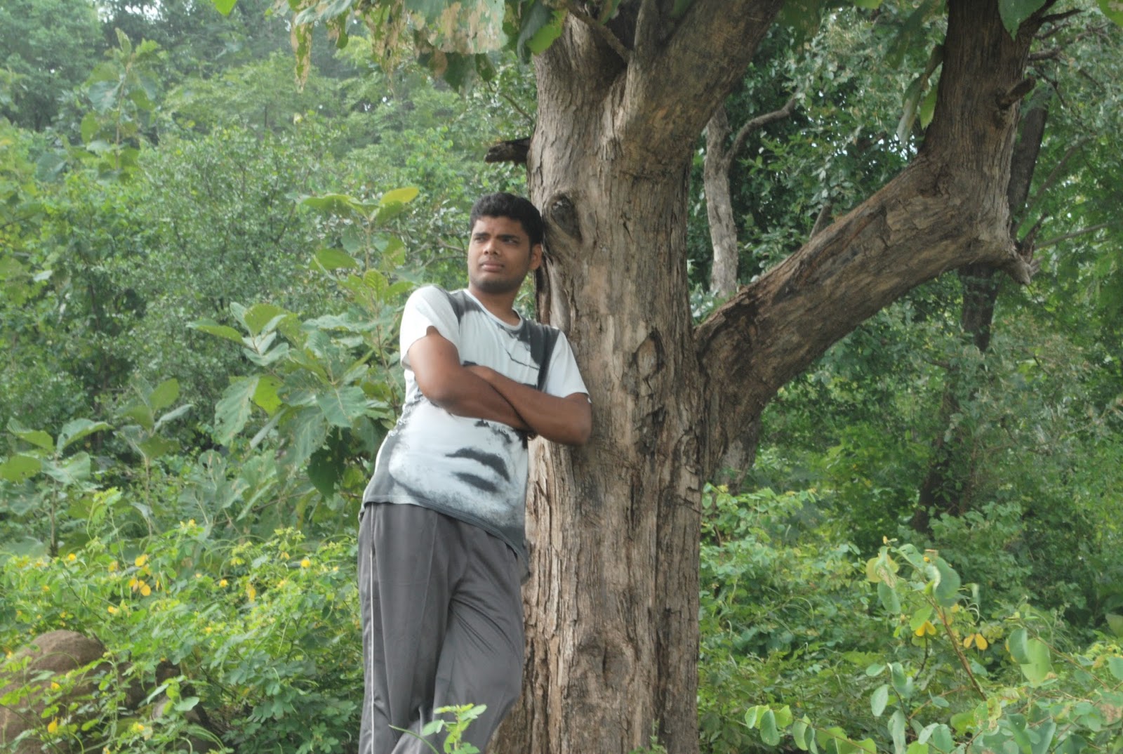 utnoor
