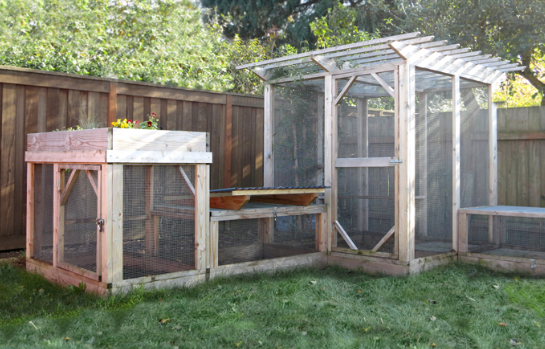 Different Types of Chicken Coops - Republic