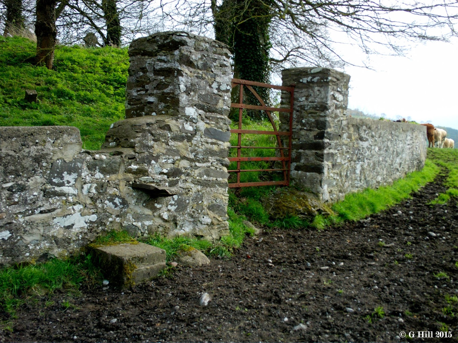 Ireland In Ruins: 2015