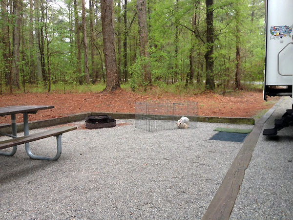 Reflections From the Fence: Fort Yargo State Park, Winder, Georgia