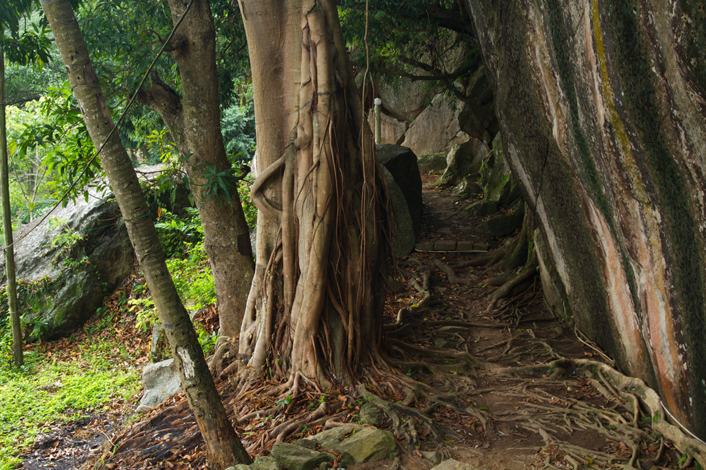 Stylus: Hindagala Temple - Kandy, Sri Lanka
