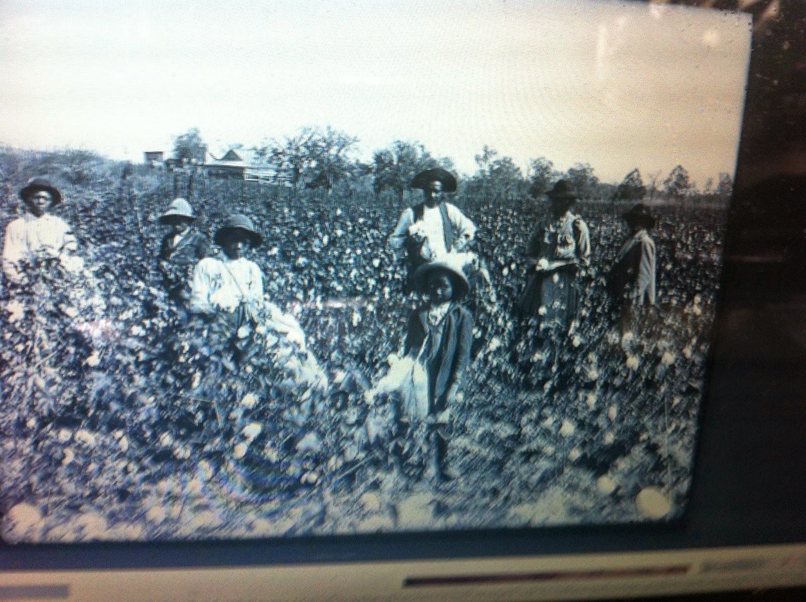 THE BLACK SOCIAL HISTORY:: BLACK SOCIAL HISTORY : SLAVERY AND ABOLITION ...