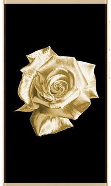 Fero Royale X2 Specs and Price - mojactech