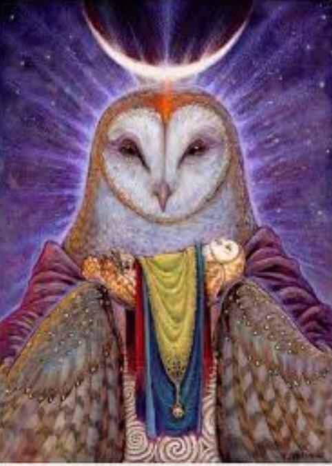 EL PODER DE LOS RITUALES: EL BÚHO Y LA MAGIA