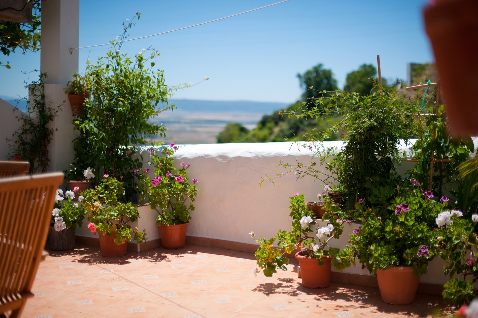 Vejer de la Frontera day by day: : Vejer's patio competition - photos ...