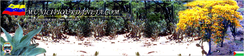 Danzas de las Turas: DANZA DE LAS TURAS