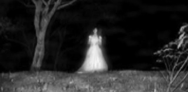 Anita Jo Intenzo-Haunted Author: LADY IN WHITE