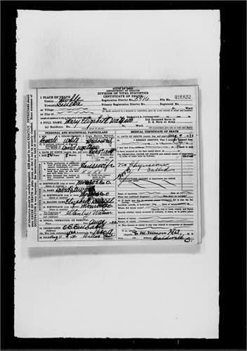 Steward Family Tree: David's Children