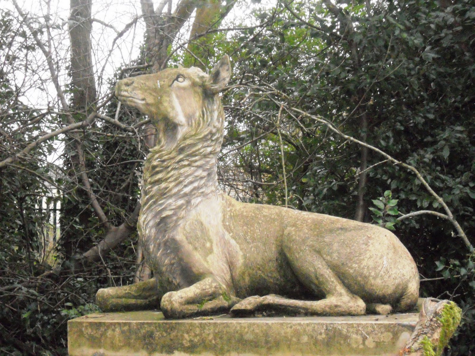 Patrick Comerford: Dunboyne Castle: a story that goes back 1,000 years