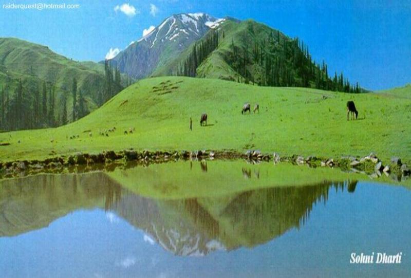 Senari Wallpaper ~ Entertainment Spy