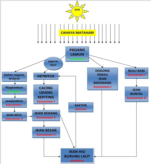kelautan: Ekosistem Pesisir Pantai