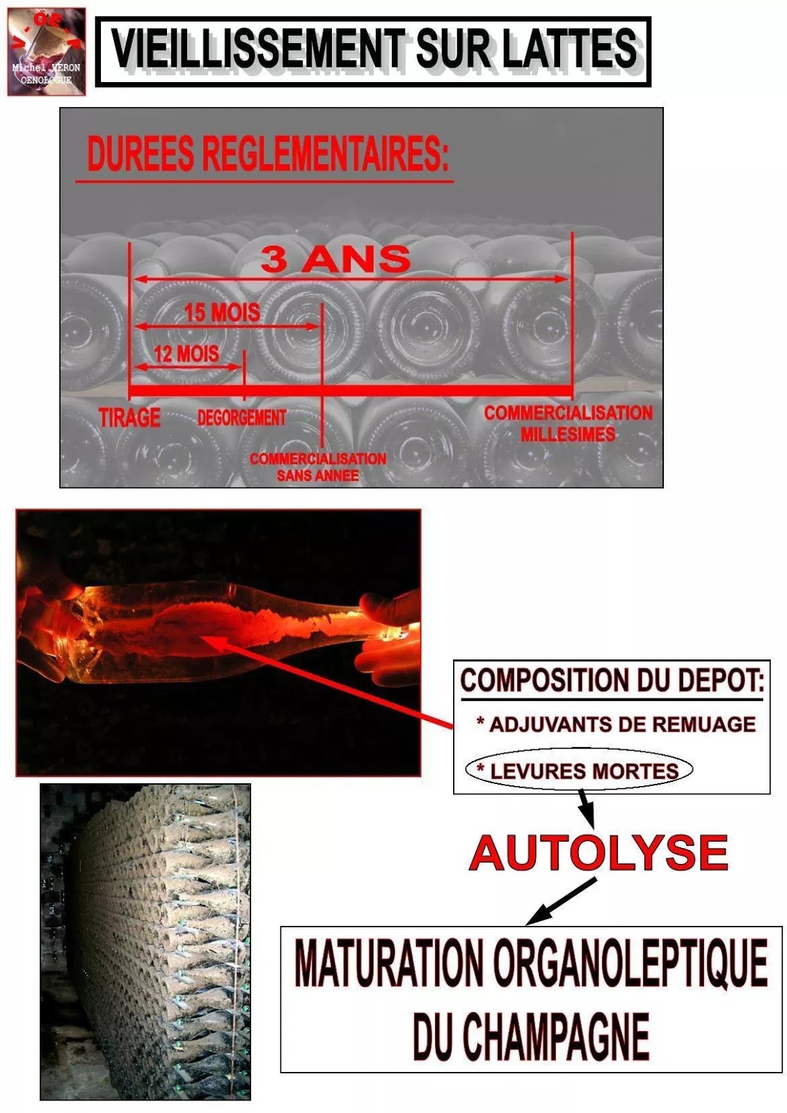 Cours Œnologie - Michel VERON: Vieillissement sur lattes