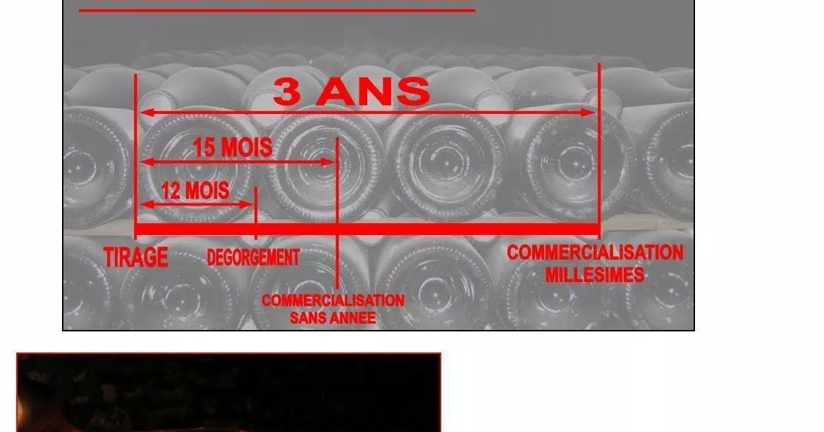 Cours Œnologie - Michel VERON: Vieillissement sur lattes