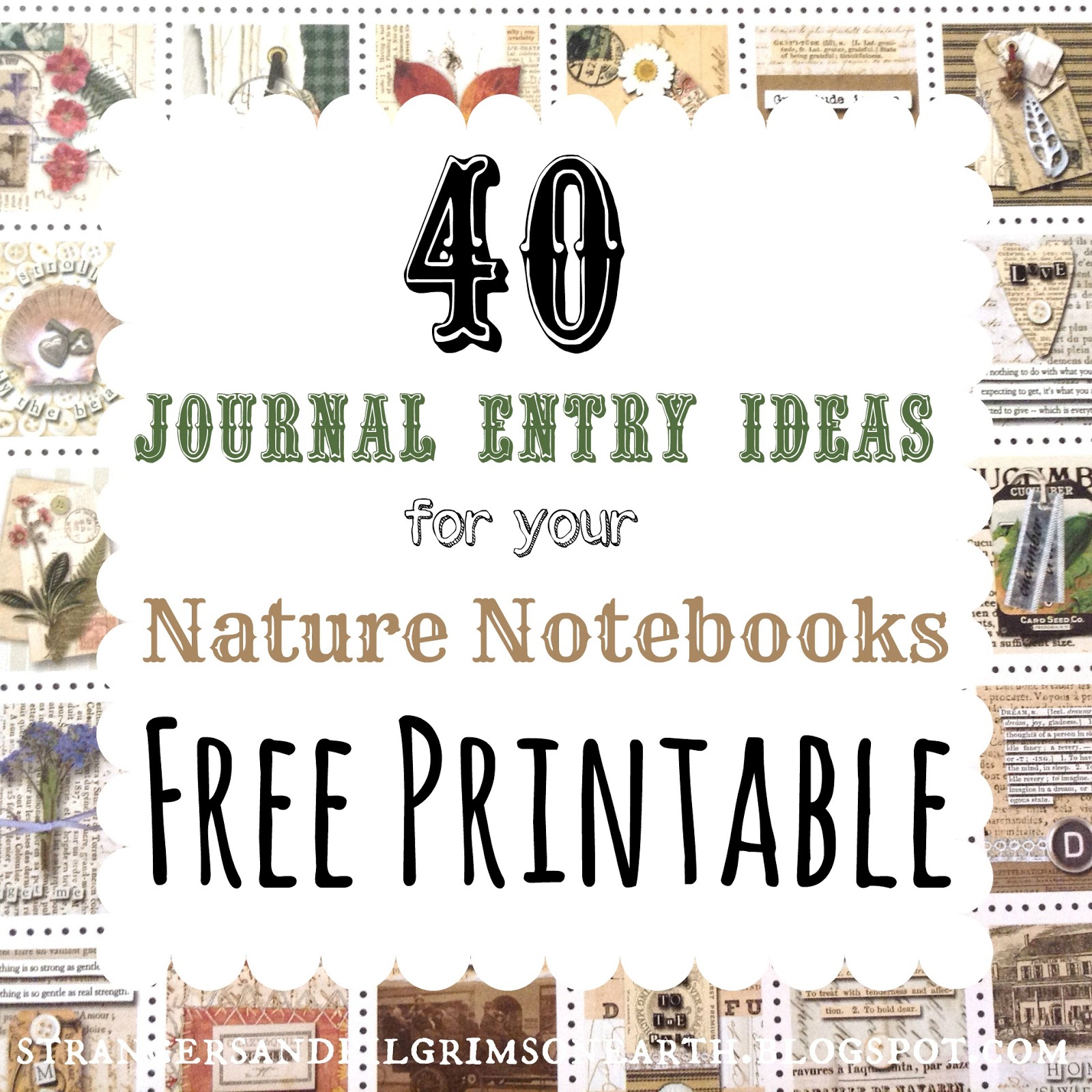 Strangers Pilgrims On Earth 40 Journal Entry Ideas For Nature Study Notebooks Free Printable strangers-pilgrims-on-earth-40-journal-entry-ideas-for-nature-study-notebooks-free-printable