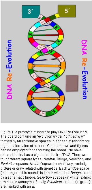 Sandwalk: A DNA evolution game for university students?