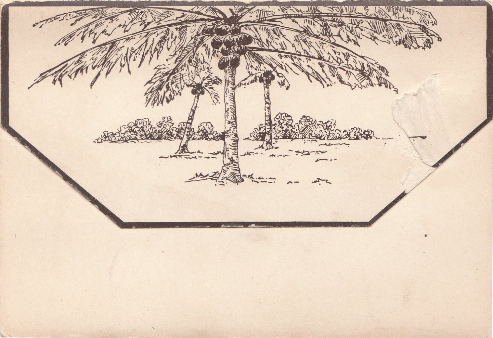 Early New Zealand Photographers: Tattersall, Alfred James