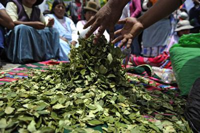 Alen: Claridad de Pensamientos: Masticar Hoja de Coca como Tradicion ...