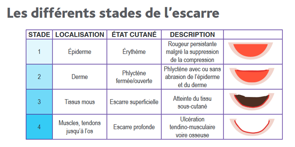 Le comptoir médical 09 53 74 01 24