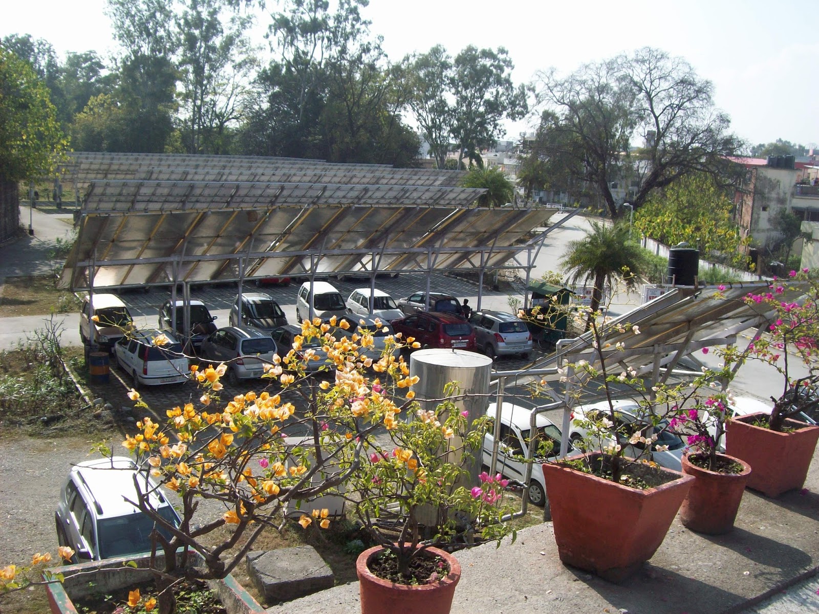 CHINAR SHADE : "GREEN HILLS ' A WONDER CREATED BY ONGC AT ITS DEHRADUN ...