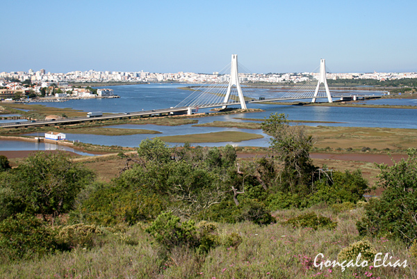 Estuário do Arade