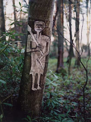 paradis express: Tim Pugh