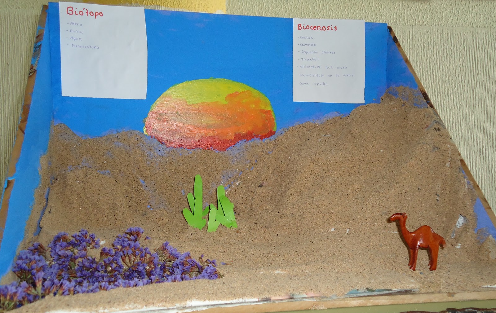 Ciencias7Palmas: BIOMAS: EL DESIERTO