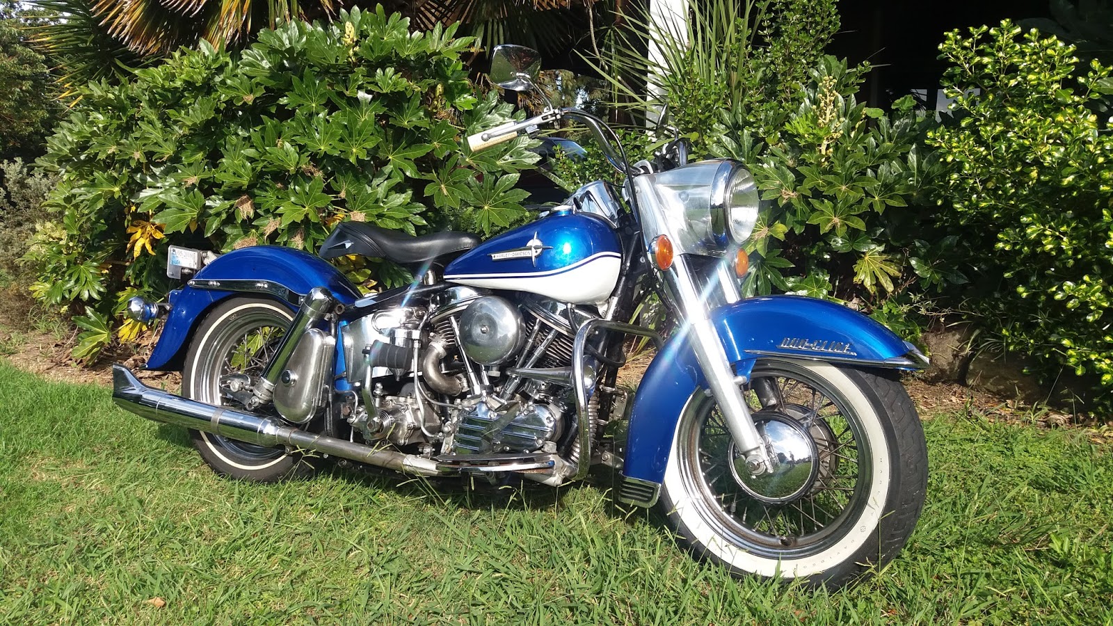 Harley Davidson Panhead : Pan picture gallery