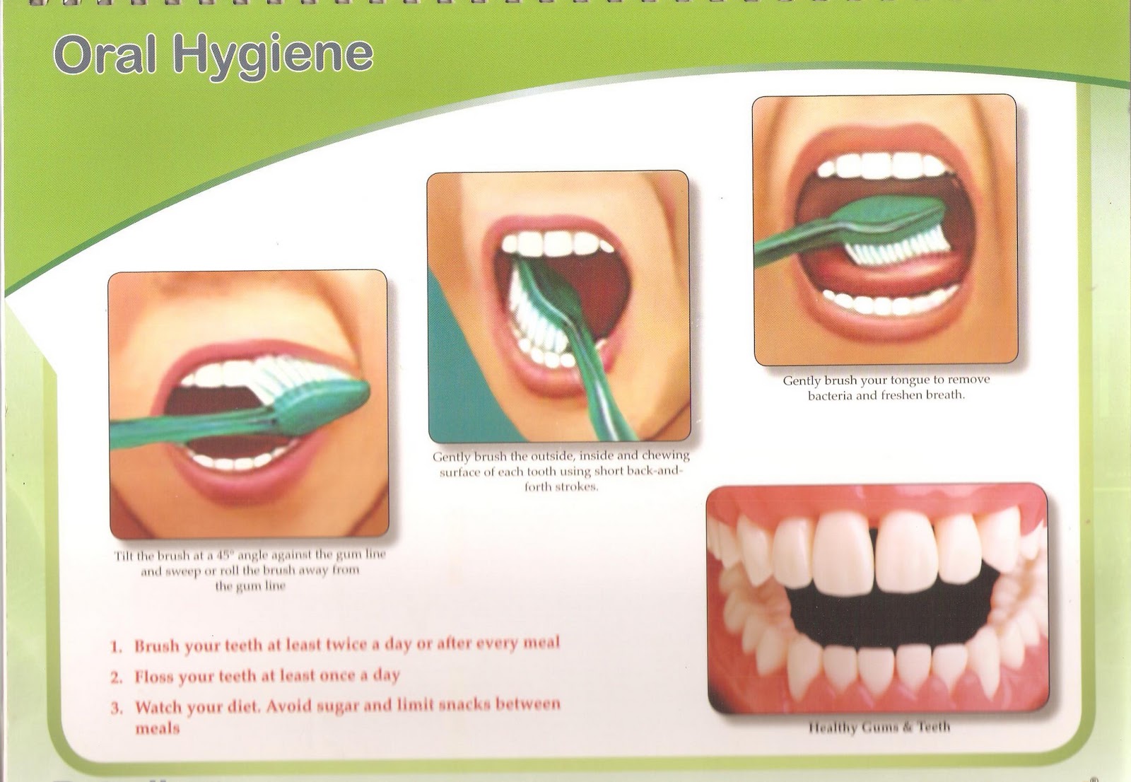 Common Dental Problem And Solution: Proper Brushing Technique