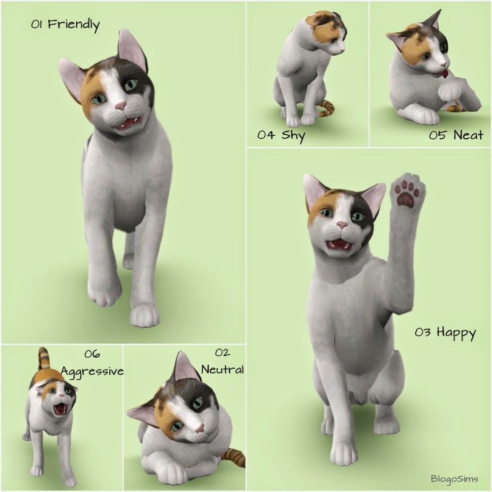 My Sims 3 Blog: Cat Poses by Sonia