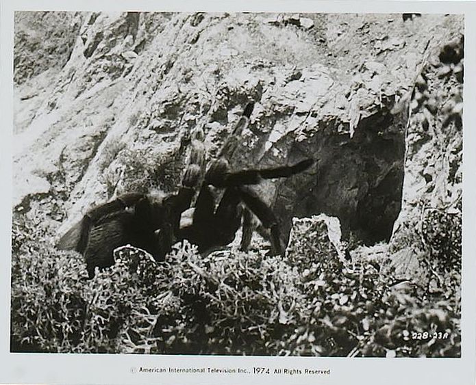 Todo El Terror Del Mundo: La Araña (The Spider) (Earth vs.The Spider ...