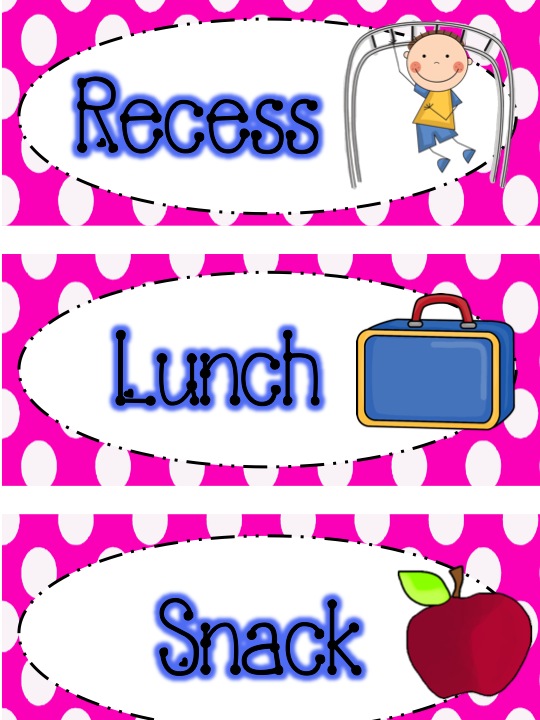 Animal Print Daily Schedule Cards - Apples & ABC's