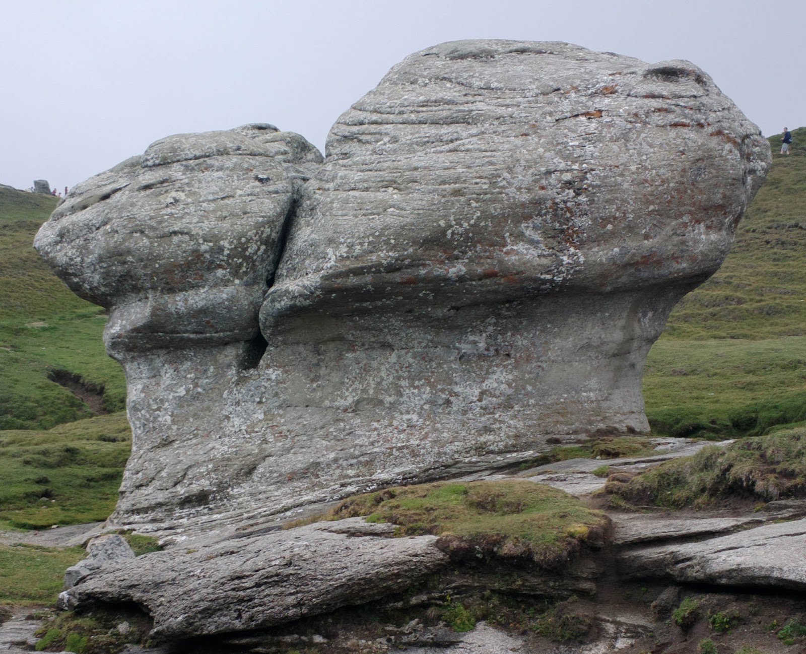 Grafica si pictura de Corina Chirila: Oare Sarutul babelor l-a inspirat ...