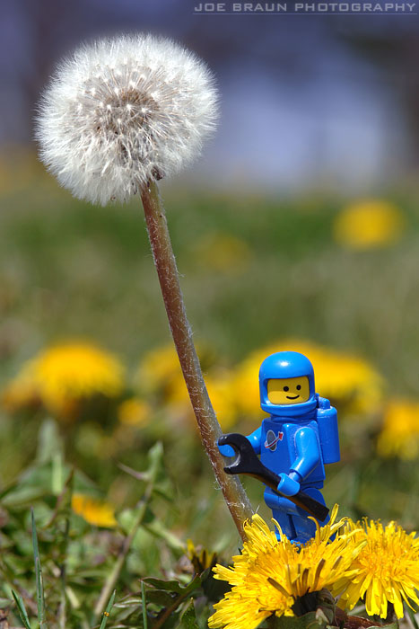 Hiving Out: Lego guys are funny