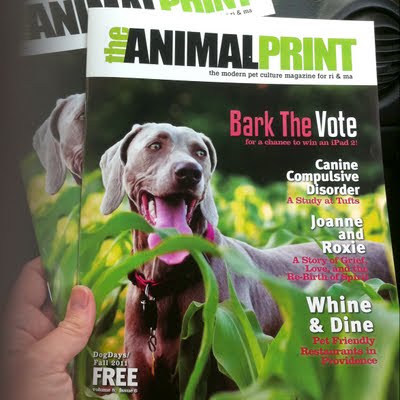 Robert & Patricia Petit Photography Capturing a Dog's Character: Animal ...