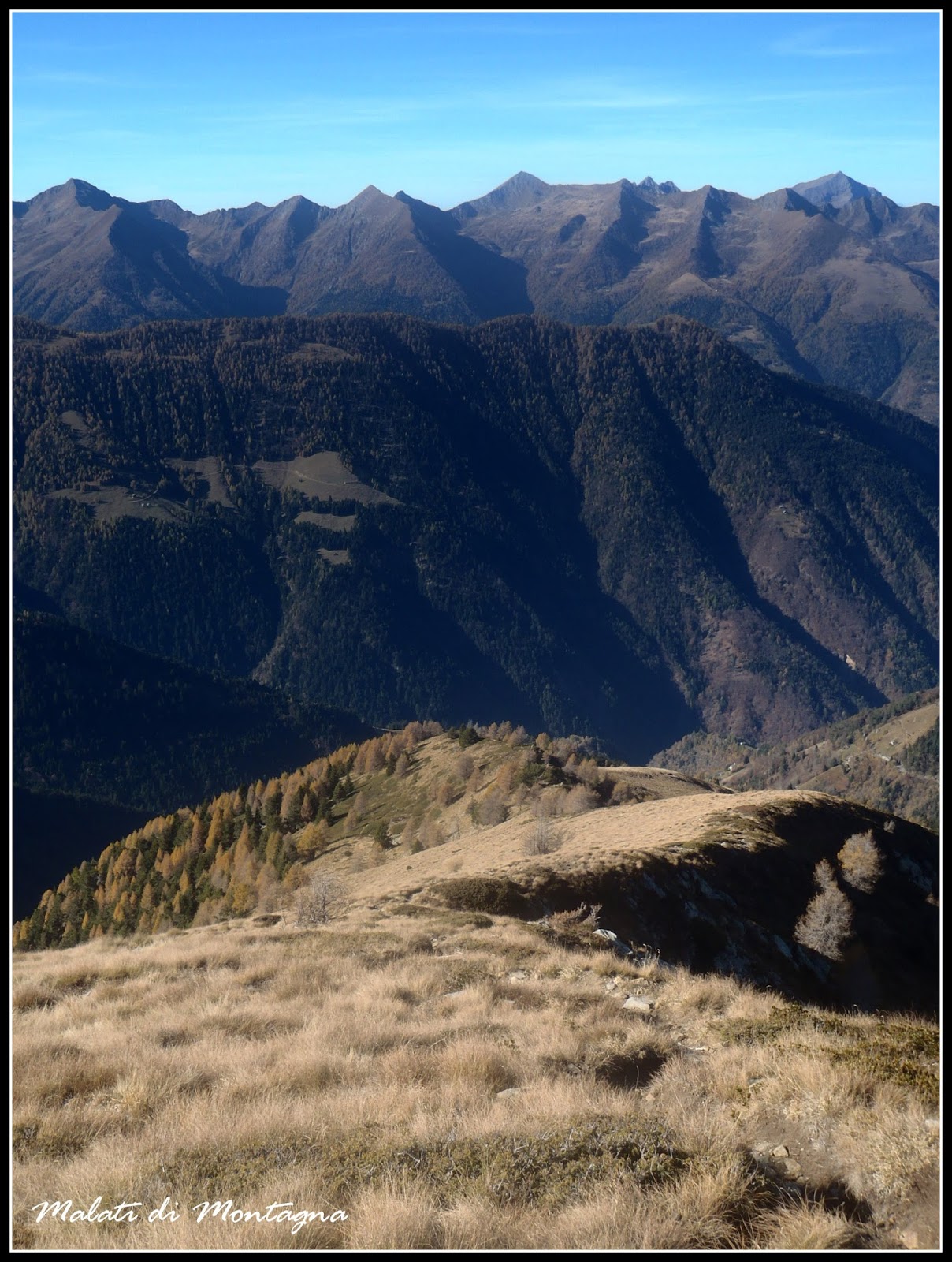 Malati di Montagna: Al Monte Lago, nella splendida Valle del Bitto di ...