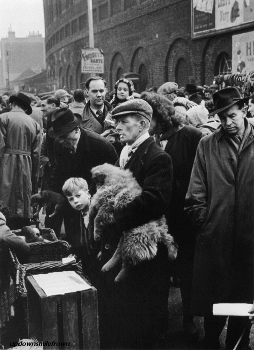 OLTRE IL MURO: ARTE e FOTOGRAFIA: GRACE ROBERTSON | PHOTOGRAPHER