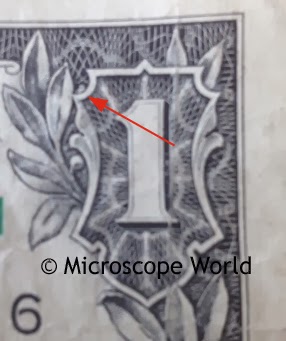 Microscope World Blog: Kids Science: Dollar Bill Under the Microscope