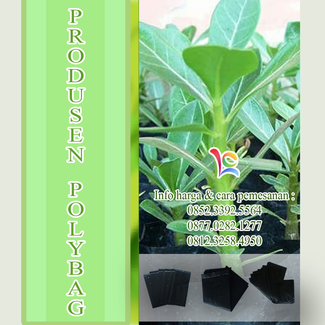 Panduan Sederhana Berkebun di Polybag atau Green House Kecil, Tahap ...