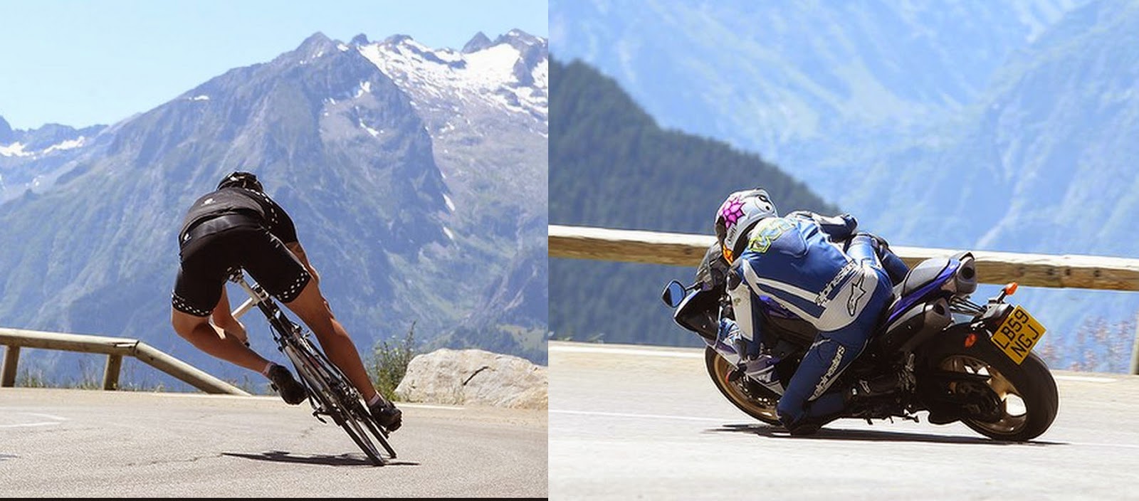 Green Bird: Man Versus Machine