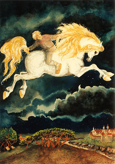 zapiski z codzienności: Konik garbusek