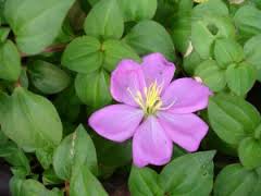 às fevereiro 16, 2017